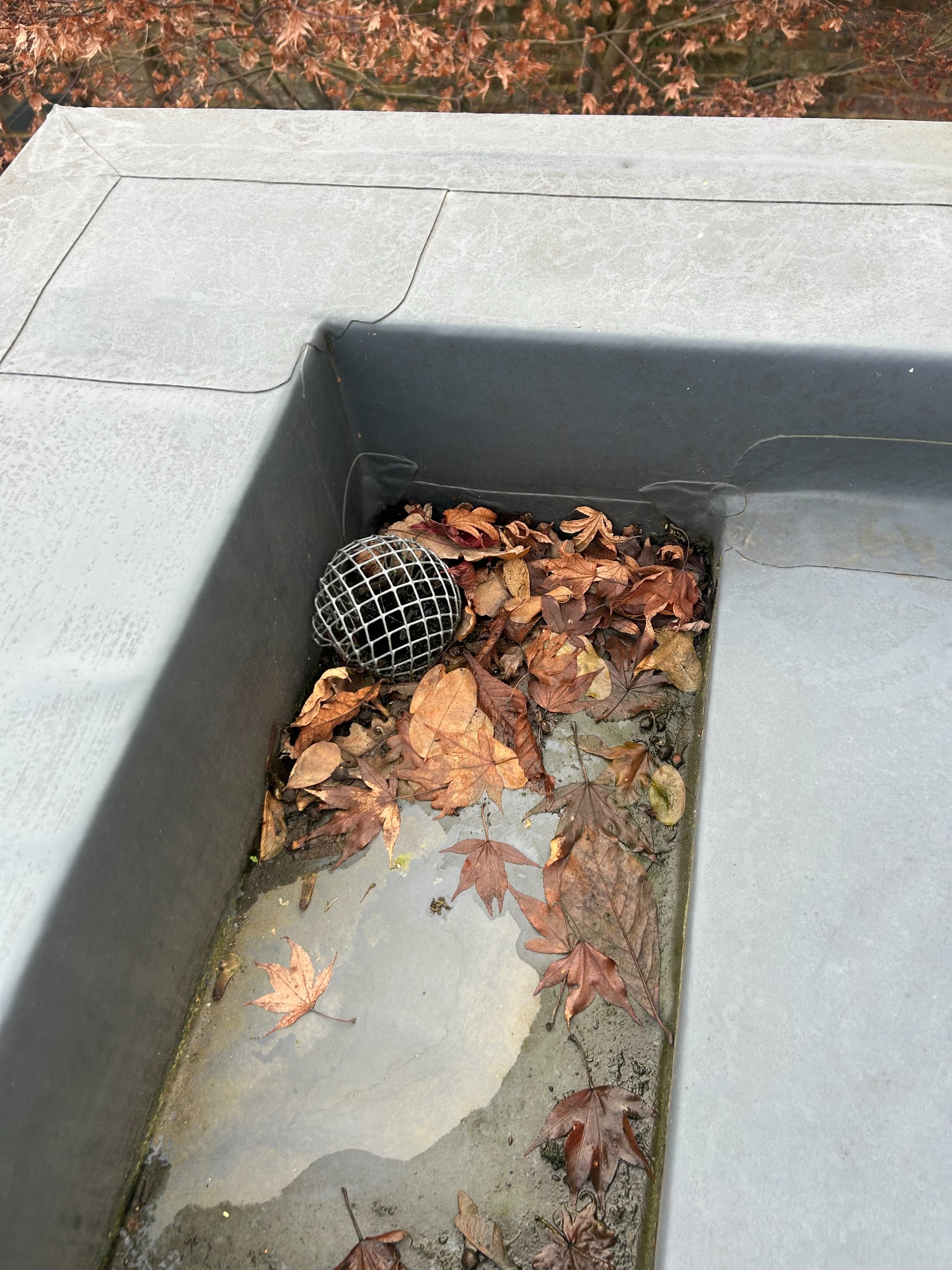 Wills Exterior Cleaning